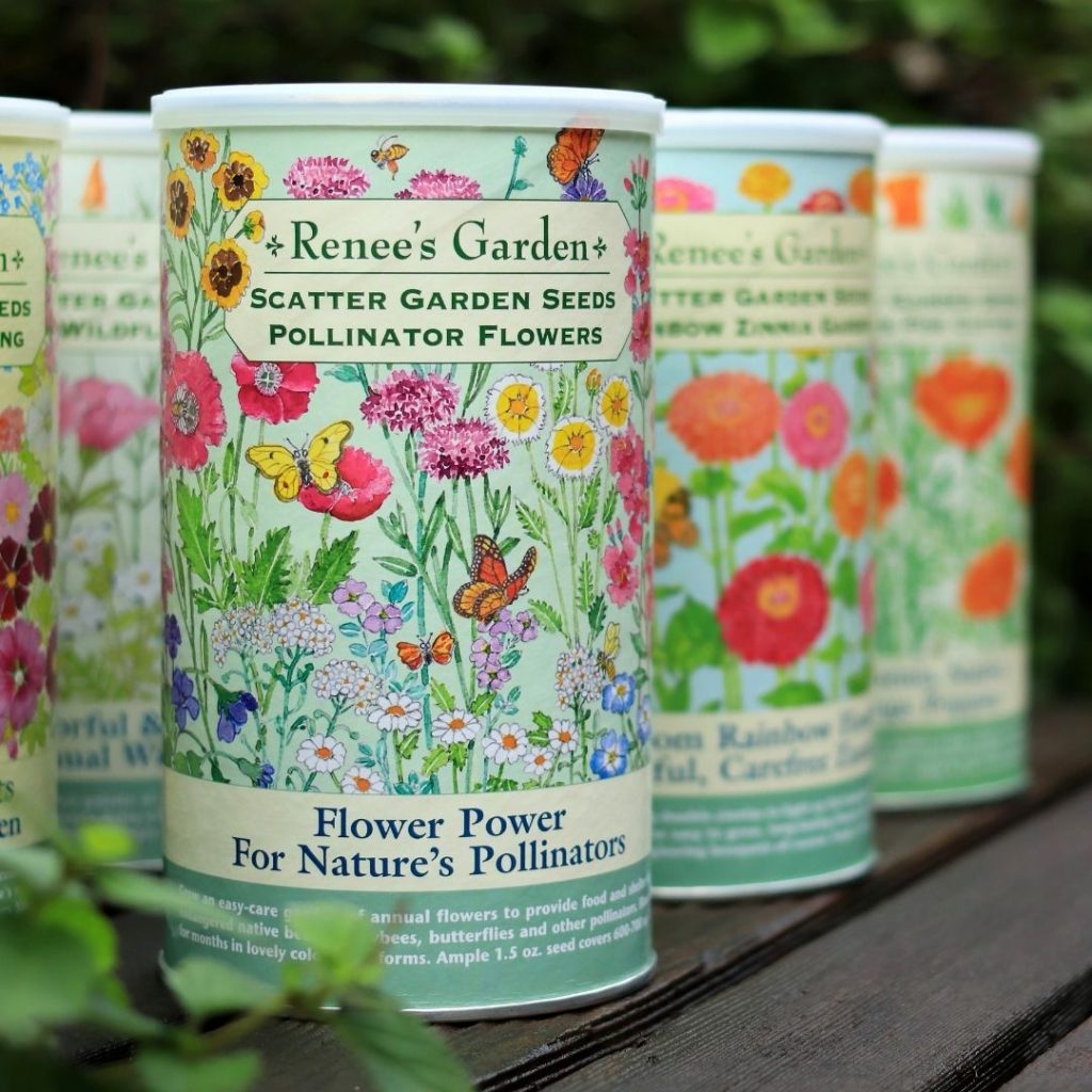 Where to Buy Renee'S Garden Seeds: Top Trusted Sources Revealed - My Blog